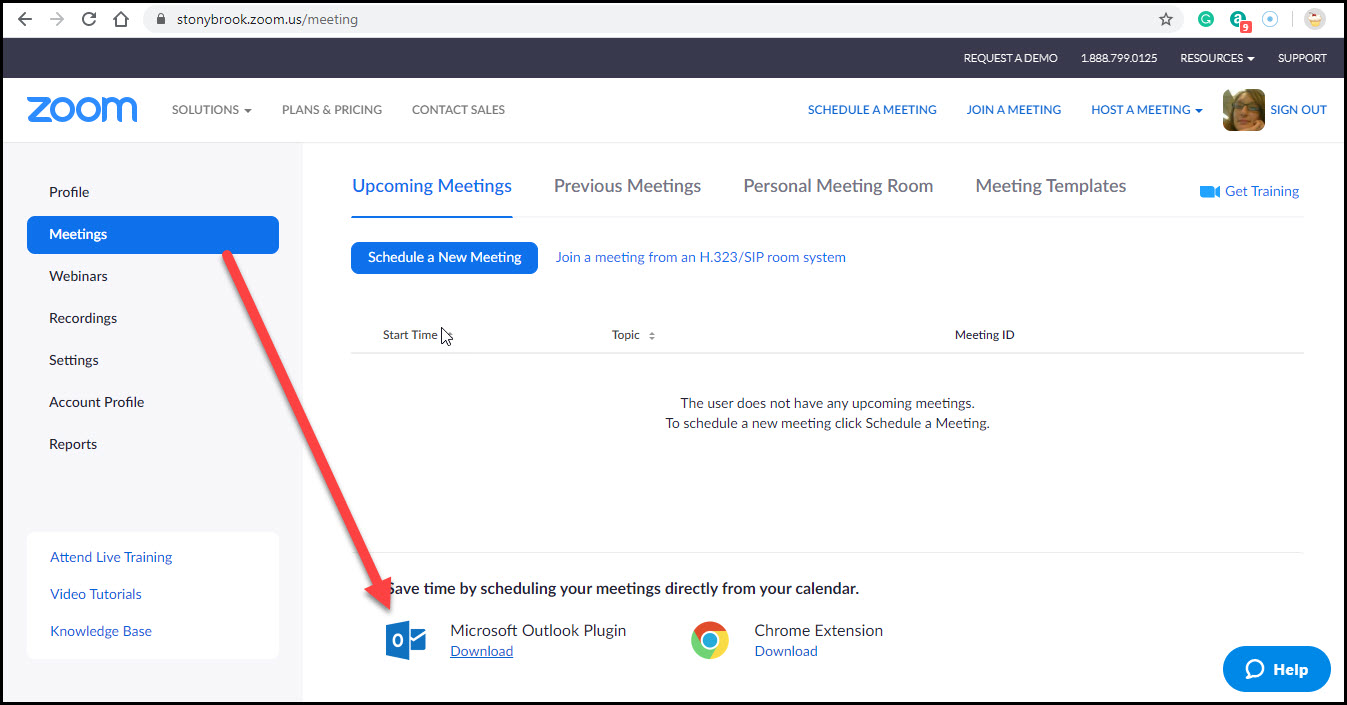 Permanent Distribui Pu ini How To Set Up A Zoom Meeting In Outlook 